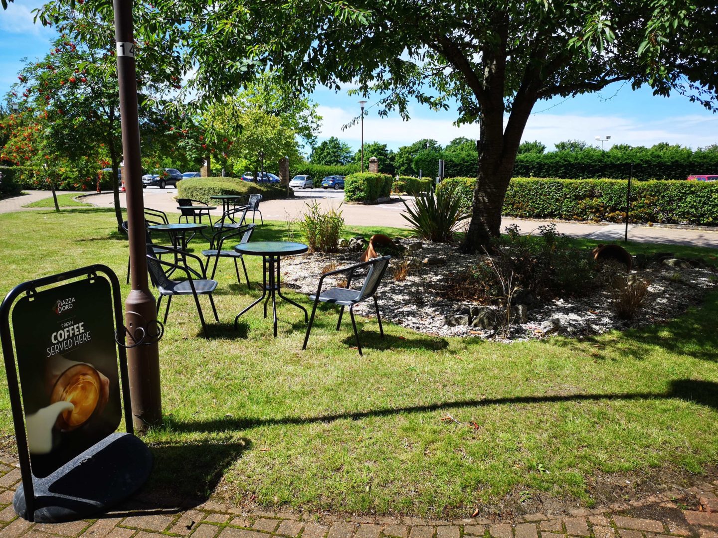 New Café Opens At The Rufus Centre - The Rufus Centre